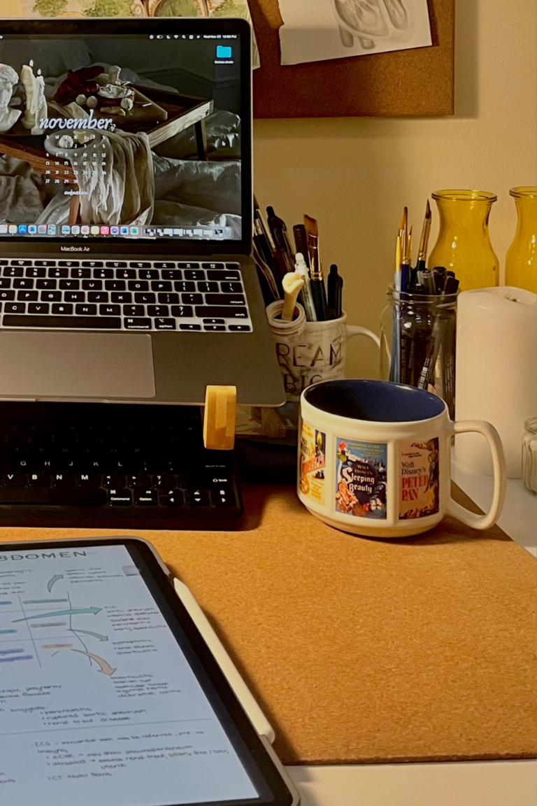 Study Room Ideas for A Cozy Study Space